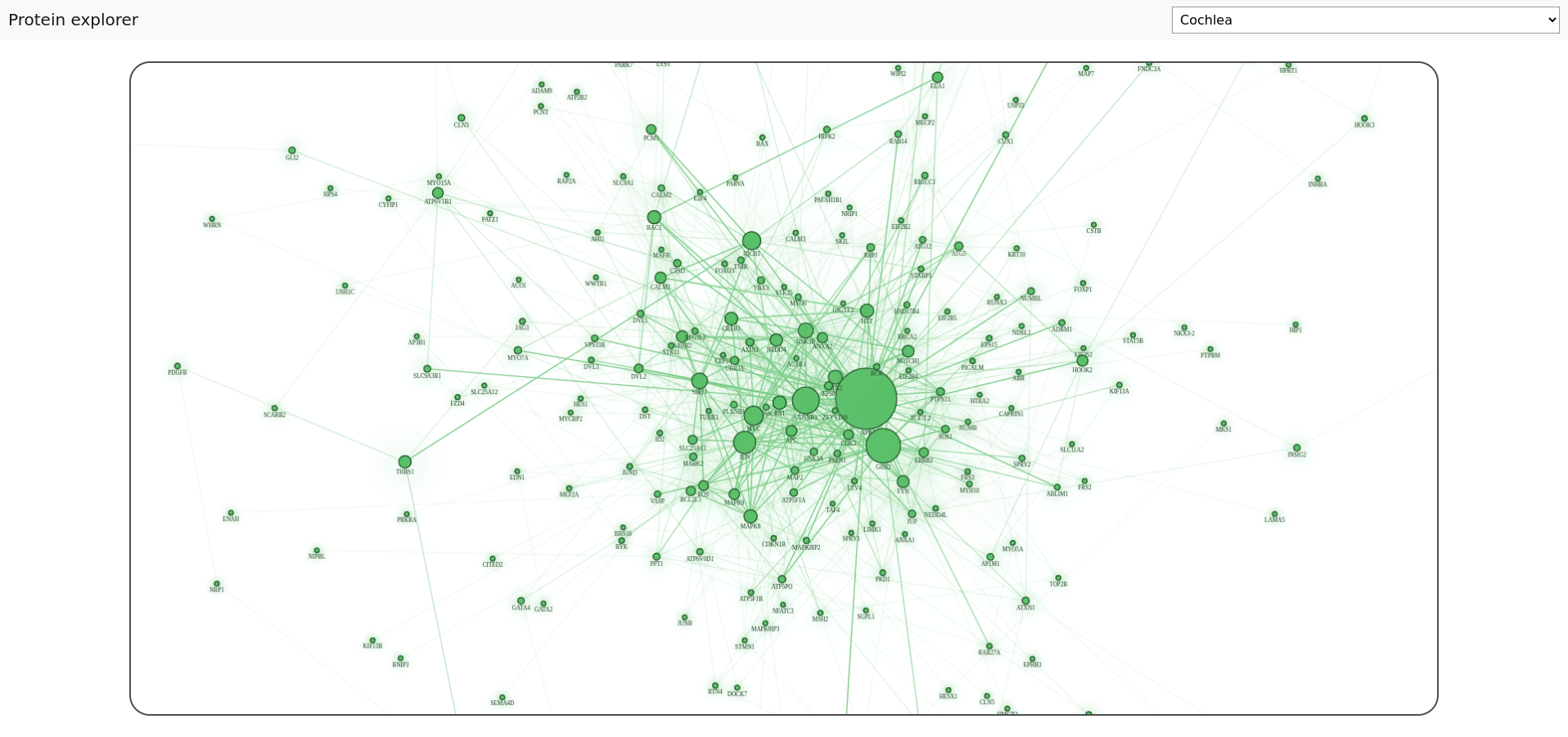 Identifying Essential Proteins using Betweenness Centrality & Memgraph MAGE